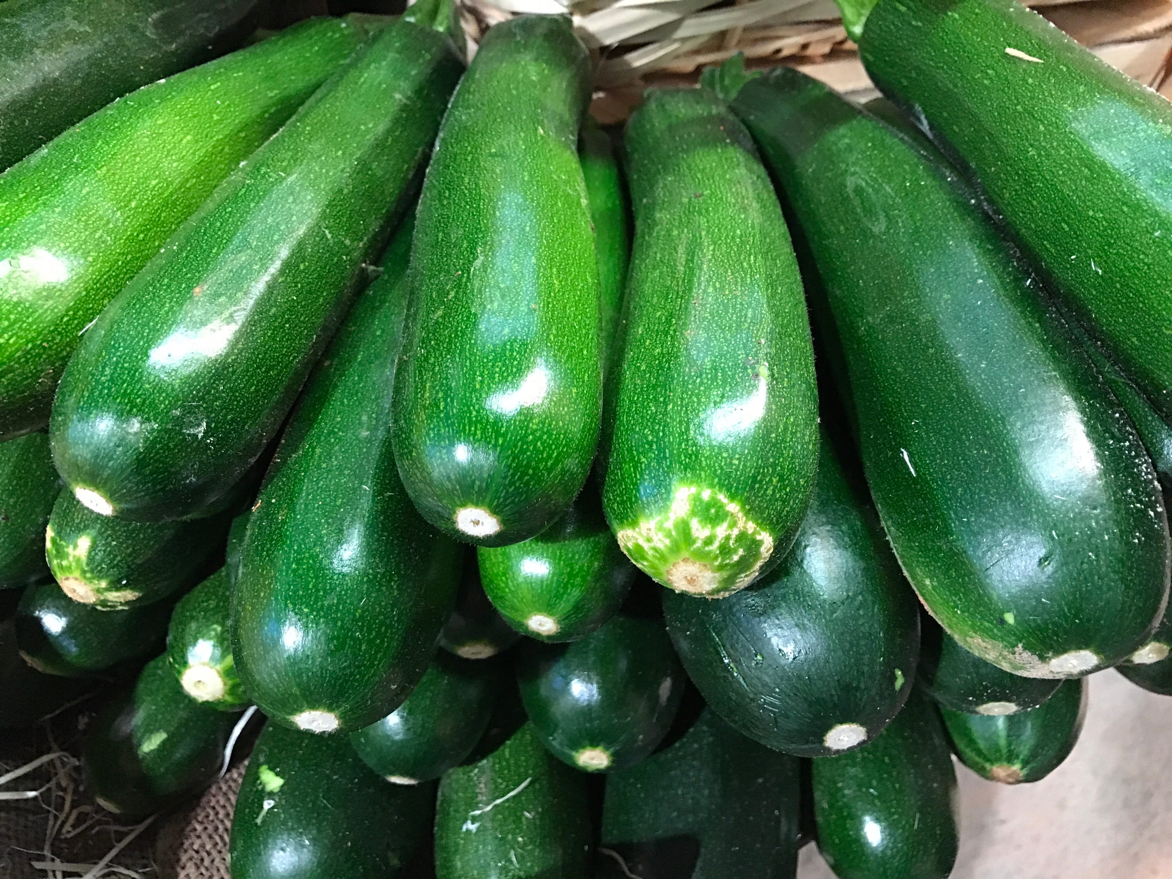 La courgette Bio de Touggourt à la conquête de l’Europe - TSA