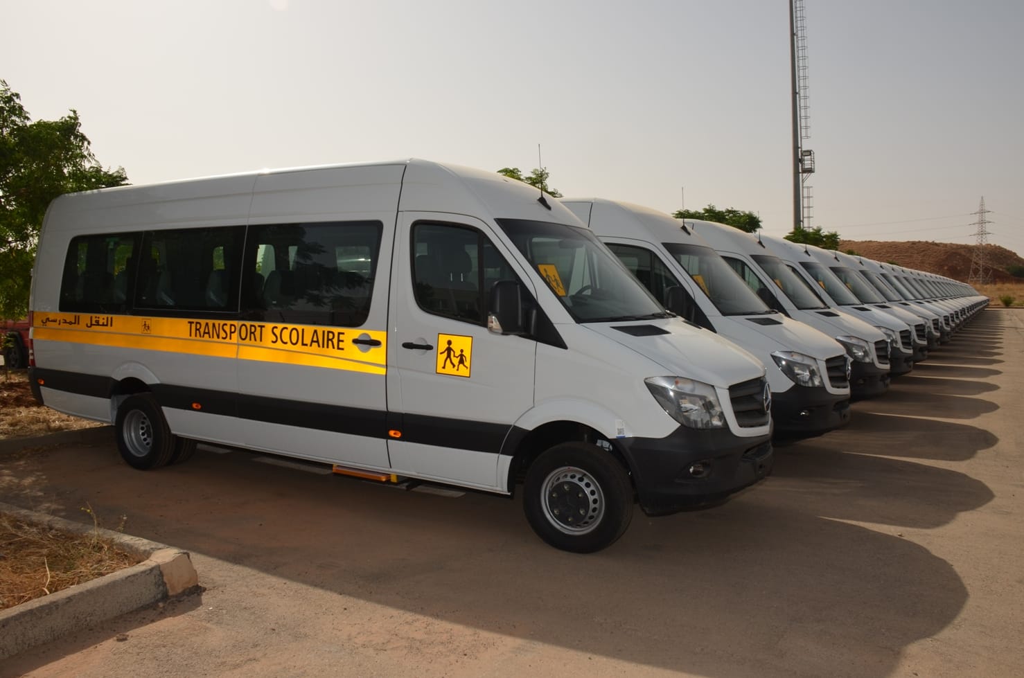 EN PHOTOS - Des bus Mercedes pour le transport scolaire - TSA