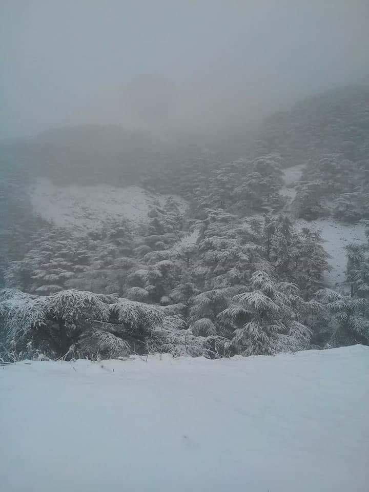 VIDÉOS. Premières chutes de neige de l’année en Algérie — TSA