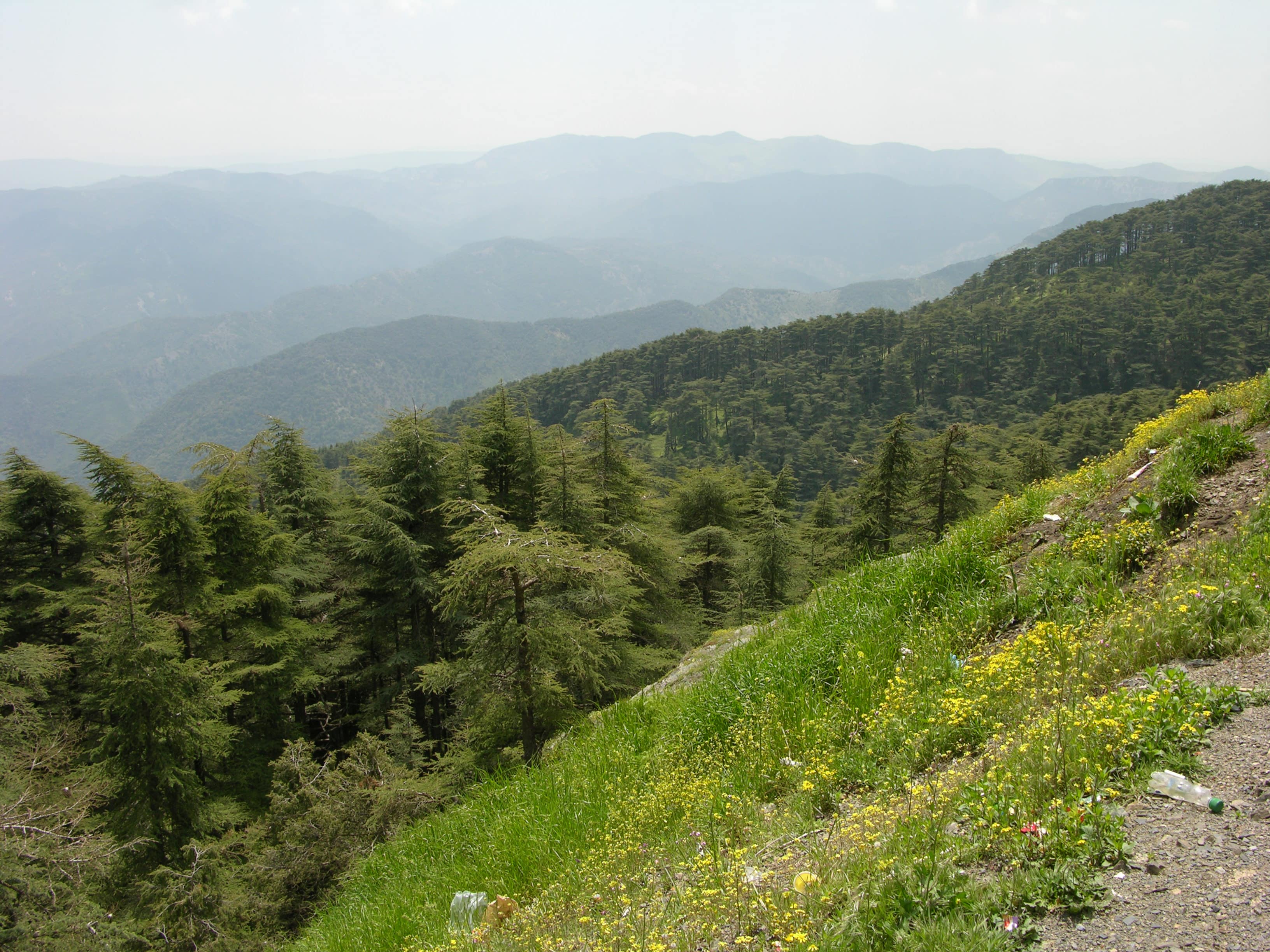 À la découverte de Chréa : de la neige, du ski et du hockey algérien