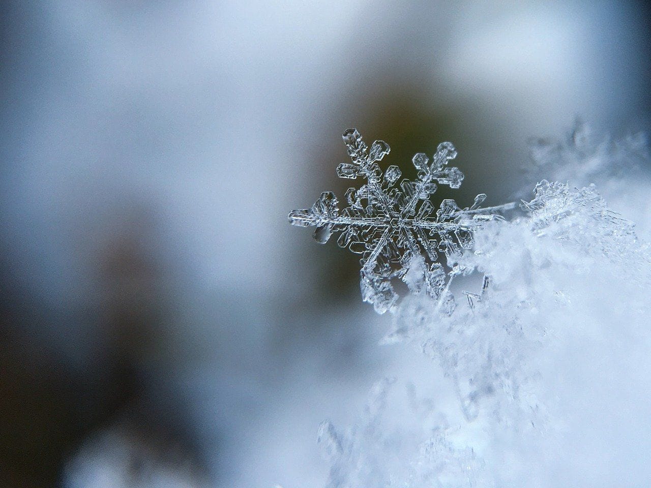 Photos et Vidéos. Le nord de l’Algérie couvert d’un manteau de neige