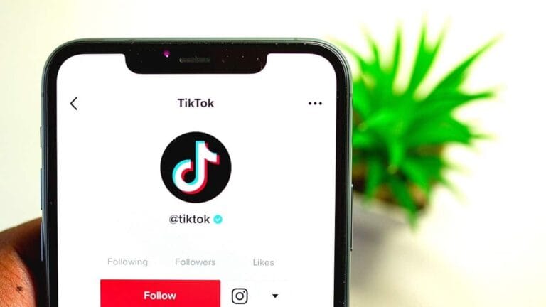 Vidéo. Alger : une TikTokeuse écrouée pour diffusion d’une vidéo haineuse